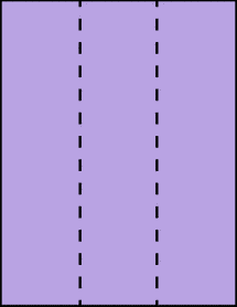 8.5" x 11" Full Sheet Label With 2 Vertical Back Slits In The Liner ...
