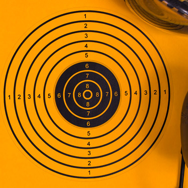 Paper Target Labels - Printable Target Labels & Pasters | Online Labels®